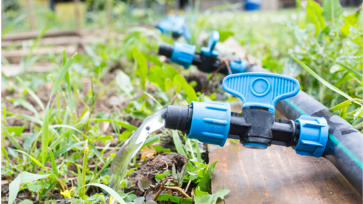How Drip Irrigation Works, Components & Entire Process - HariDukaan
